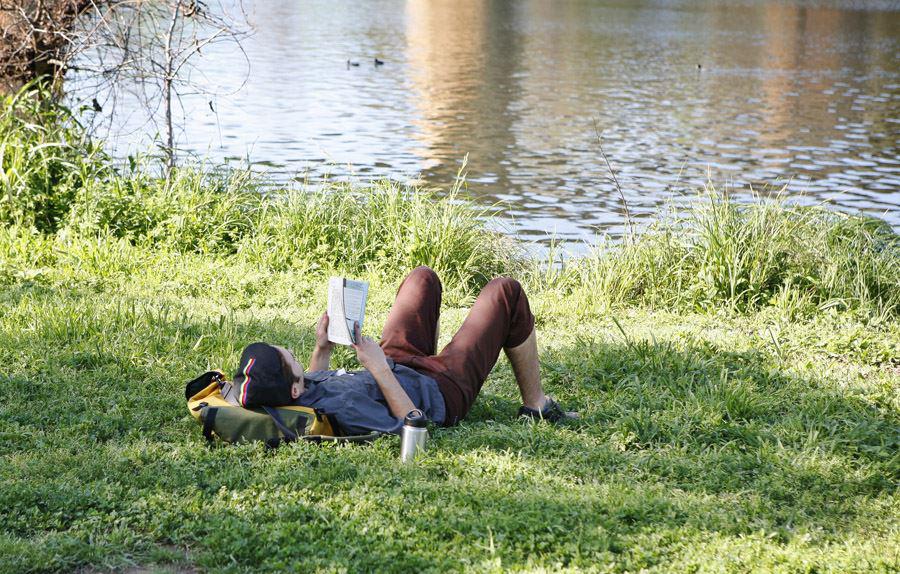 Mansfield Mosquito Control | Mosquito Squad of Southeastern Massachusetts