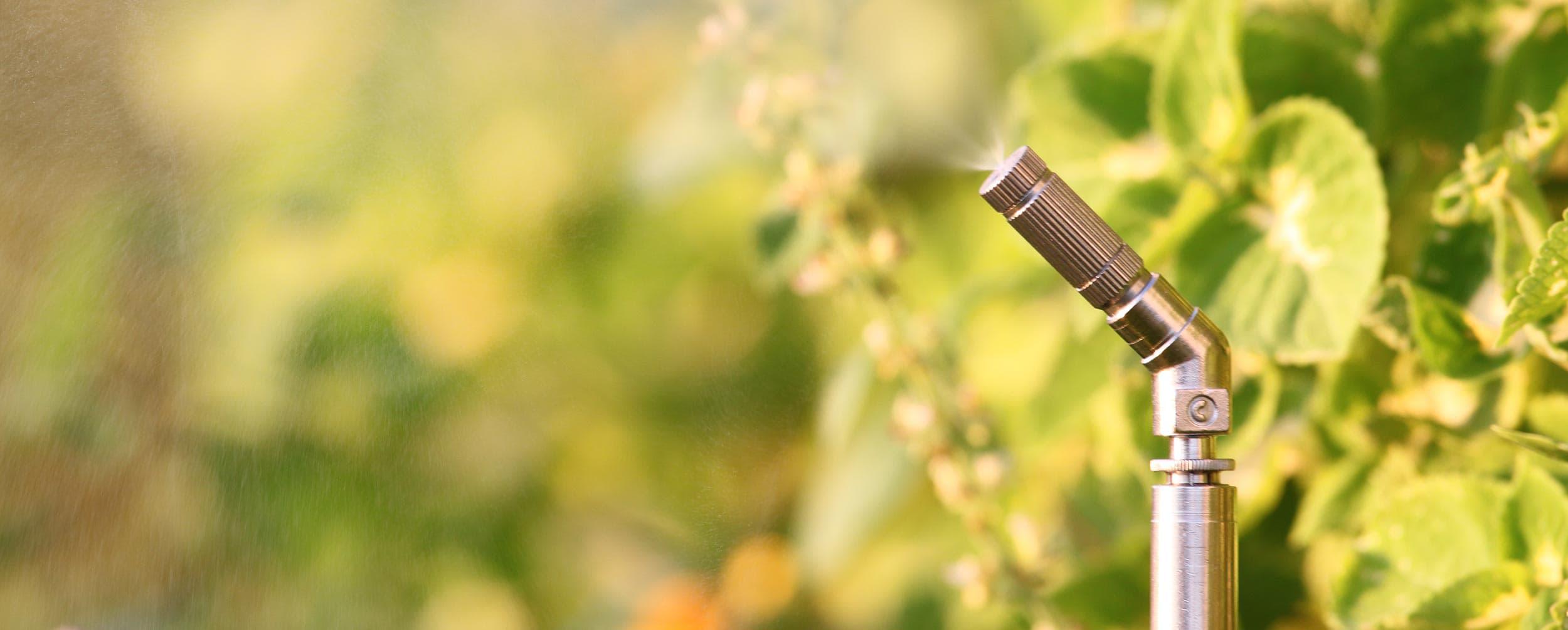 Mosquito and Tick Outdoor Pest Control Services